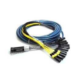 Whirlwind MEDUSA MultiSnake12